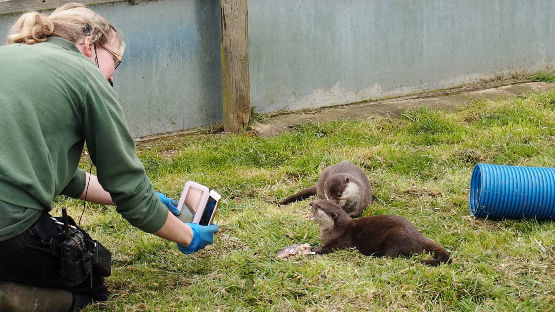 Why You Need To Visit Lincolnshire Wildlife Park | Emma Victoria Stokes