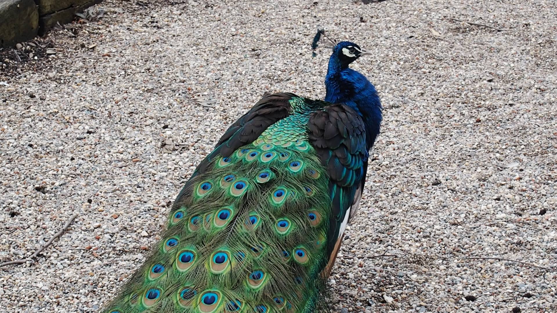 Why You Need To Visit Lincolnshire Wildlife Park | Emma Victoria Stokes