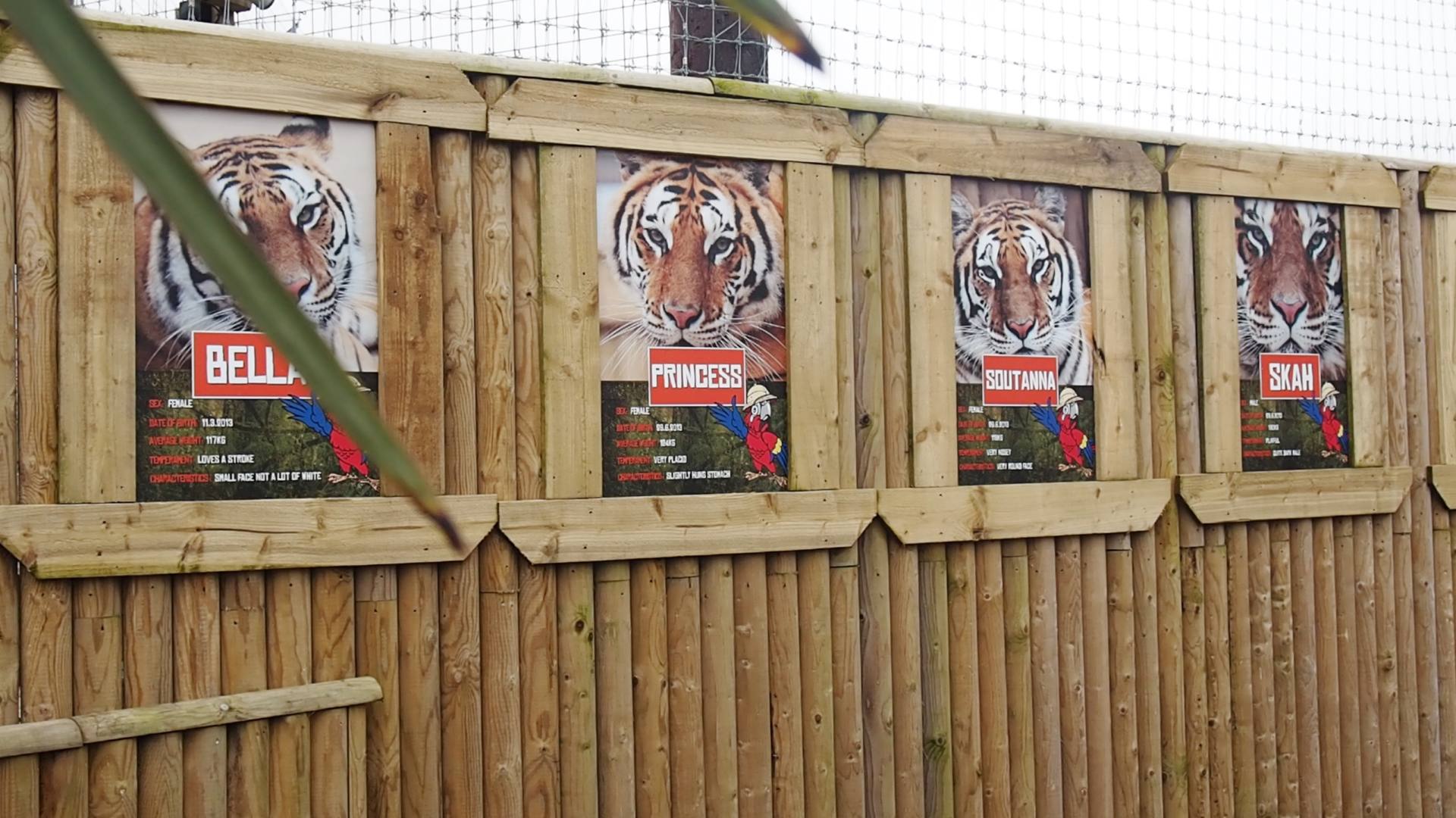 Lincolnshire-Wildlife-Park-Tigers-Names | Emma Victoria Stokes