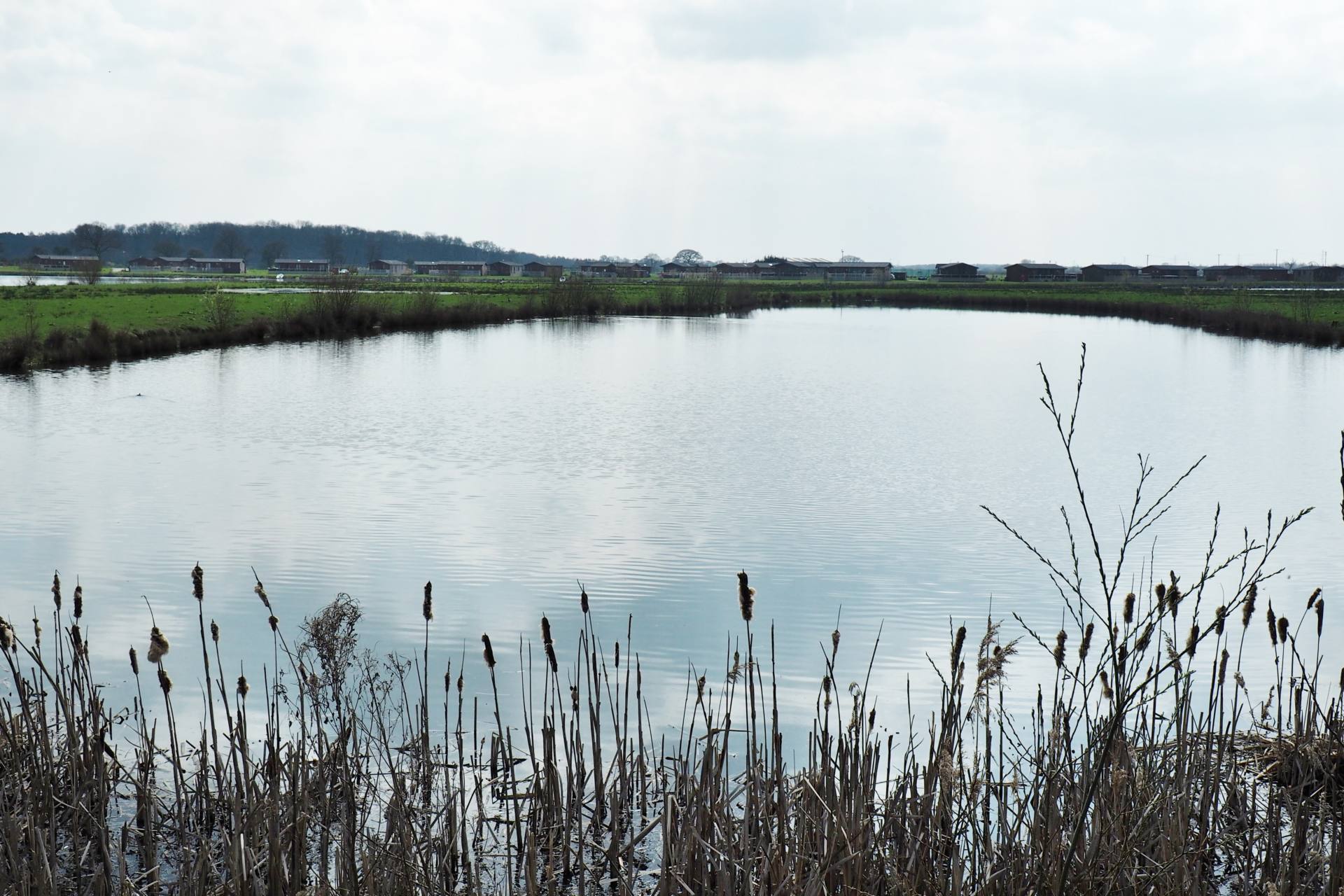 Emma-Victoria-Stokes-Woodward-Lakes-And-Lodges-Doncaster-Lake-Overview ...