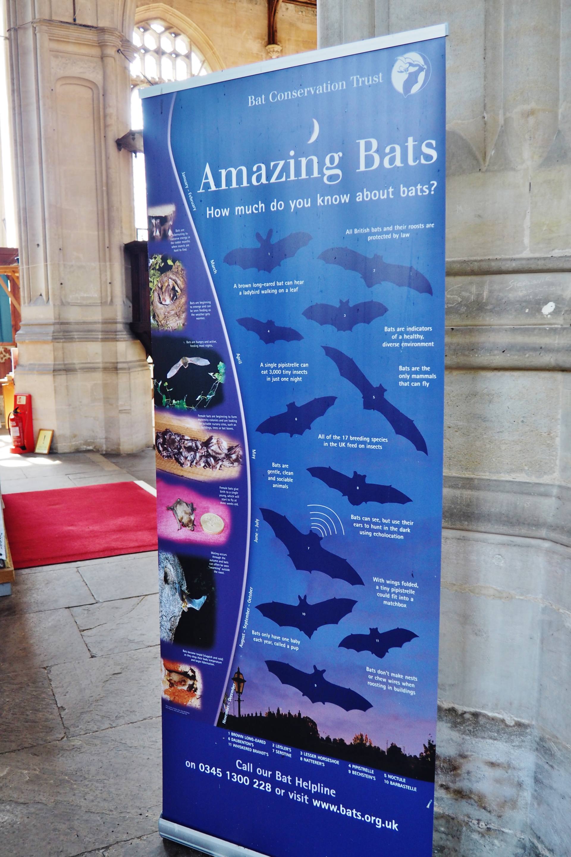 P1010725 | Emma Victoria Stokes